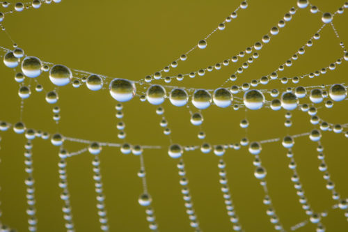 GASでWebページを表示するdoGet関数のスクリプトについて丁寧に解説 | 隣IT